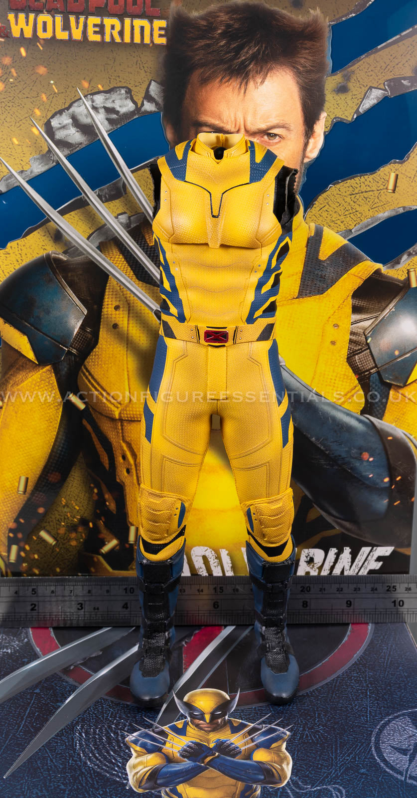 Hot Toys - Wolverine Deluxe Body & Suit - Deadpool v Wolverine - MMS75 ...