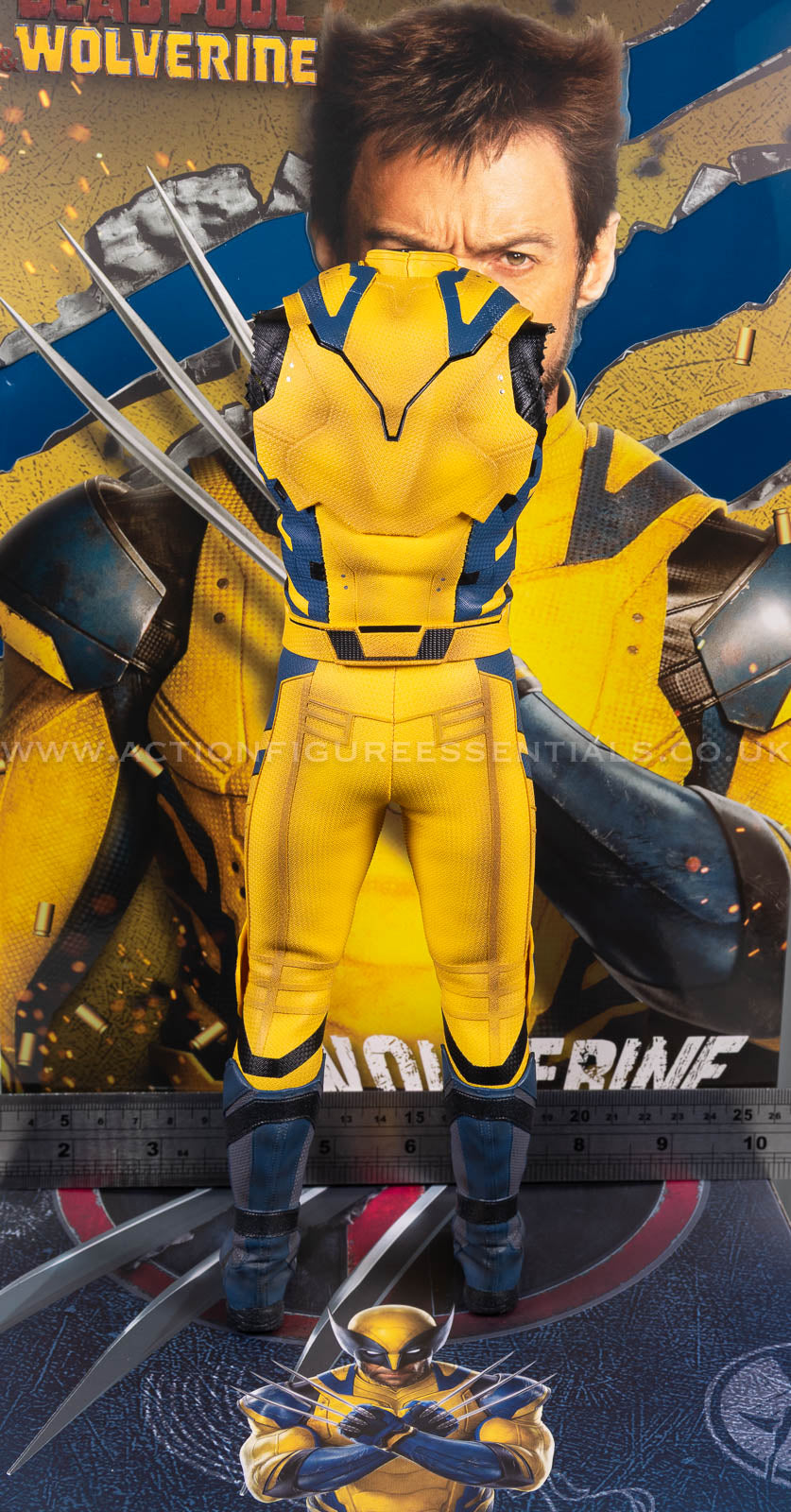 Hot Toys - Wolverine Deluxe Body & Suit - Deadpool v Wolverine - MMS75 ...